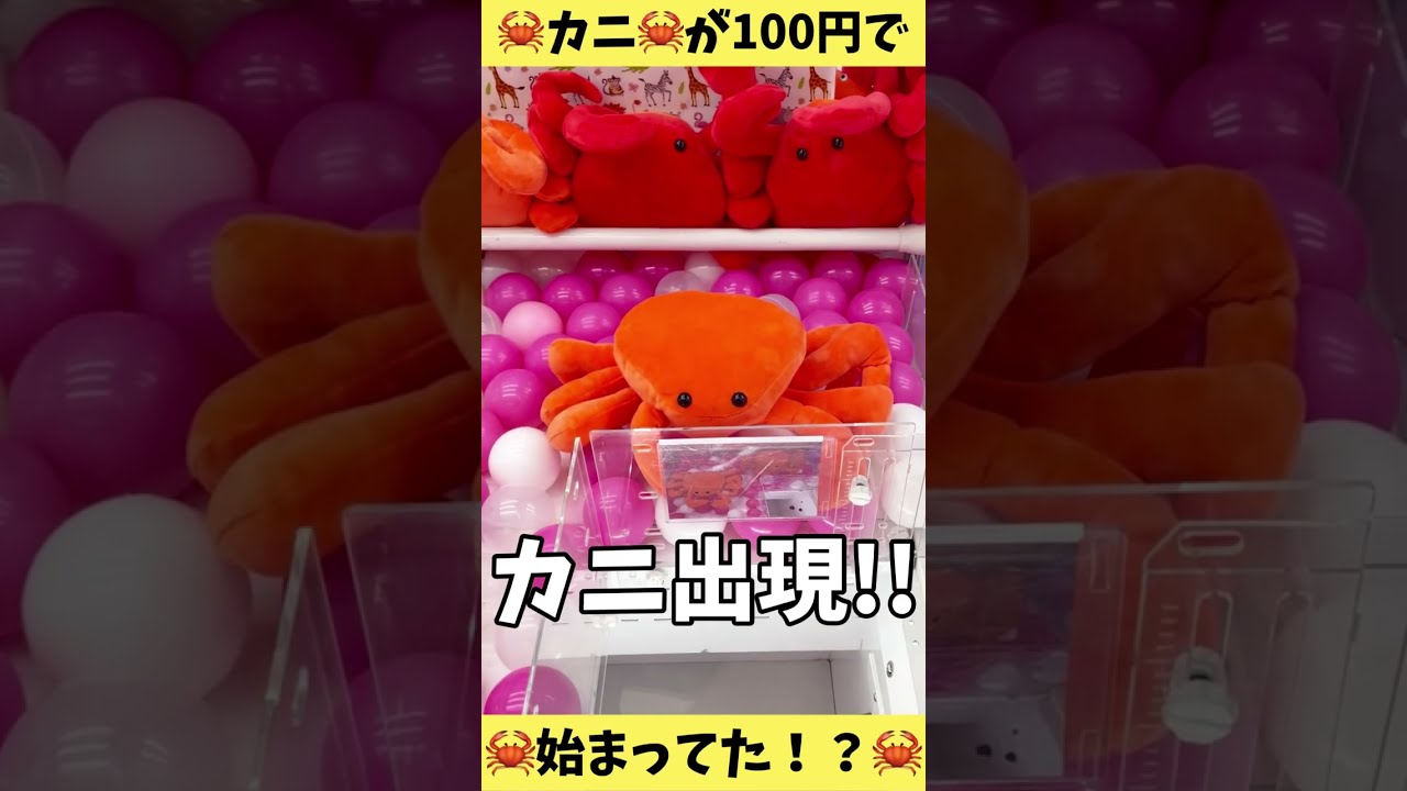 【クレーンゲーム】カニのぬいぐるみが100円で始まってた！？ワンパン UFOキャッチャー UFO CATCHER TRIPLE ユーフォー ...