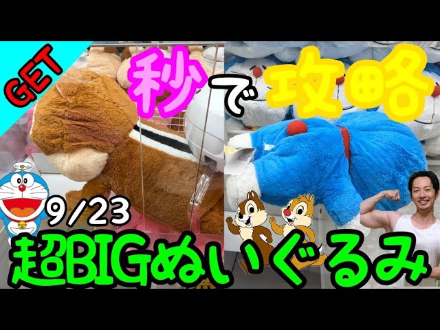 実は超簡単!?攻略法を知っていると秒でGET出来てしまう!?ROUND1で超BIGぬいぐるみを狙った結果… | クレゲマニア