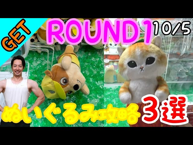 甘い台を見つけて超簡単にGET!?ROUND1でぬいぐるみ攻略3選！！大人気のmofusand！子供大好きパウパト！BIGな柴犬…柴犬!?w | クレゲマニア