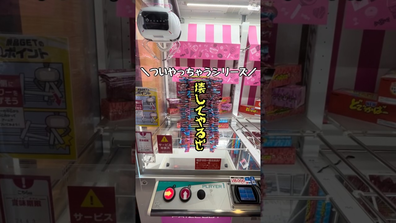 \つい やっちゃうシリーズ／ #プライズ #クレーンゲーム動画 #ゲーセン #ufoキャッチャー #ゴトン病 #景品ゲット #sega #アミューズメント限定 #GIGO#ロングチュータワー ...