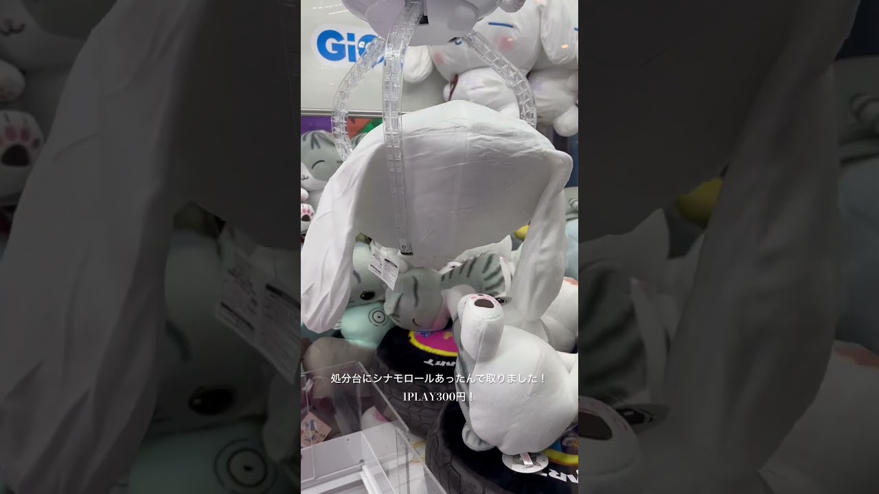 GIGOさんの処分台！#ufoキャッチャー #クレーンゲーム #シナモロール #ゲーセン景品 #GIGO池袋総本店 | クレゲマニア