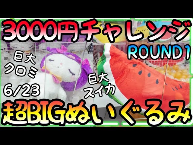 3000円で超BIGぬいぐるみ何個GET出来る!?ROUND1でとりあえずどデカい景品を狙ってみた！ | クレゲマニア